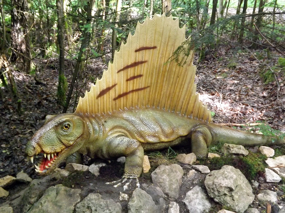 Dimetrodon milleri (Dinopark Altmühltal) | Der Beutelwolf-Blog