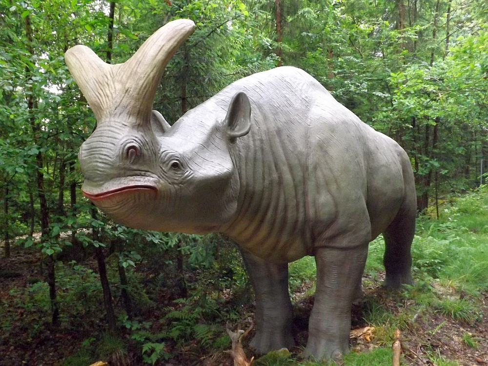 Megacerops coloradensis (Dinopark Altmühltal) | Der Beutelwolf-Blog
