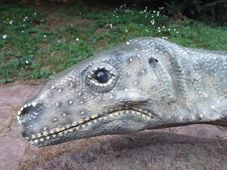 Protorosaurus speneri (Sauriererlebnispfad Georgenthal) | Der ...