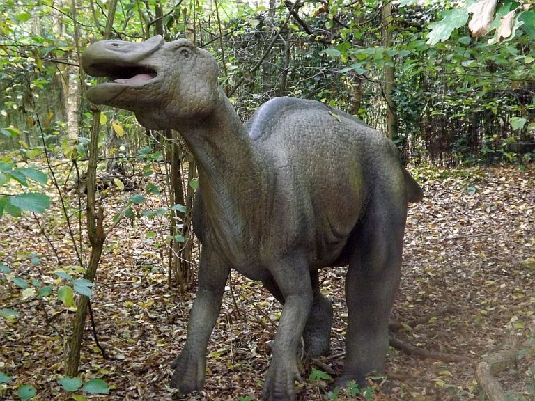 Probactrosaurus (Zoo Amersfoort) | Der Beutelwolf-Blog
