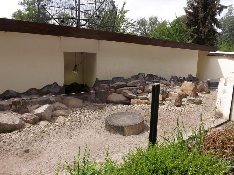 Tiergarten Delitzsch | Der Beutelwolf-Blog
