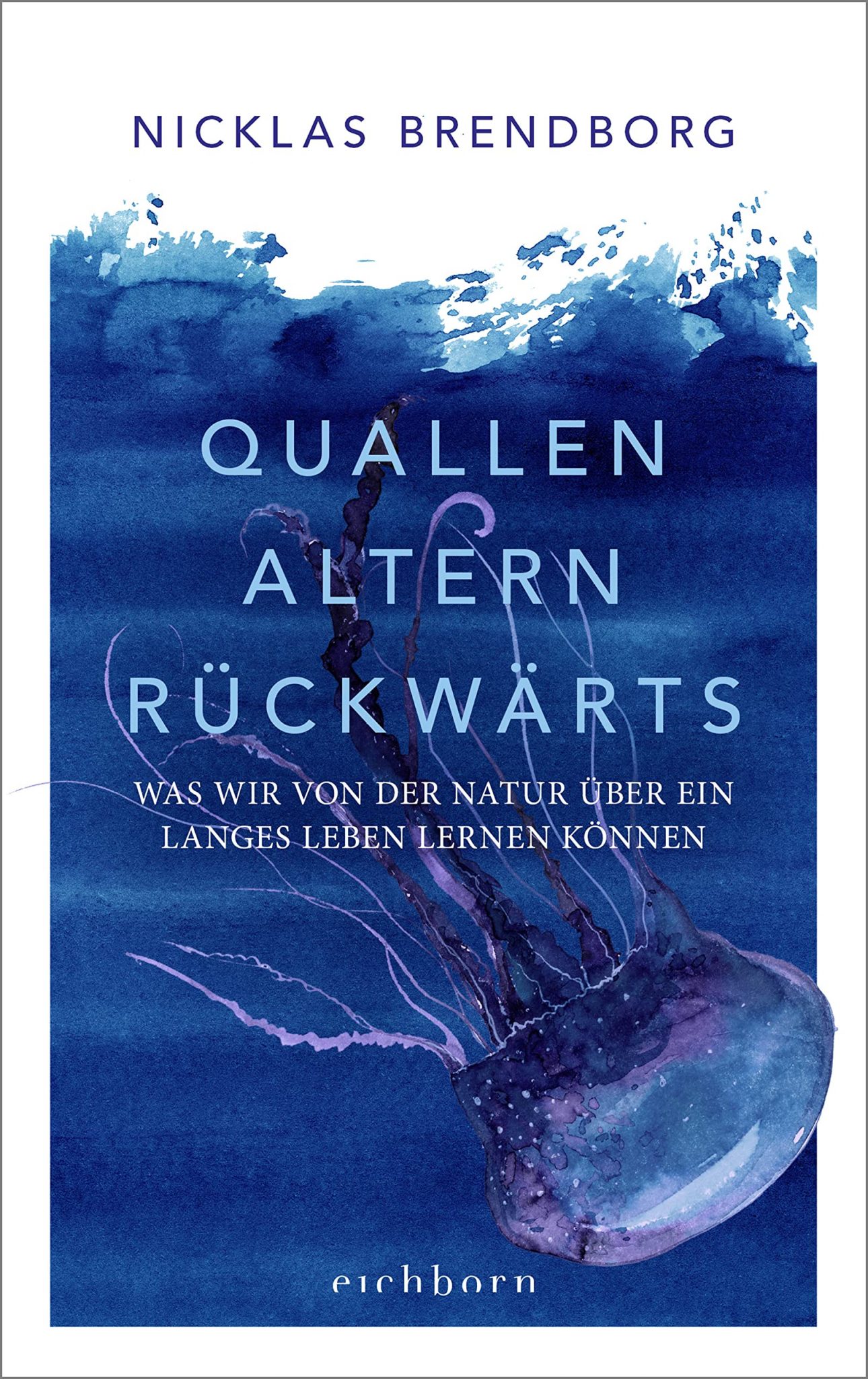 Nicklas Brendborg: Quallen altern rückwärts (Rezension) | Der ...