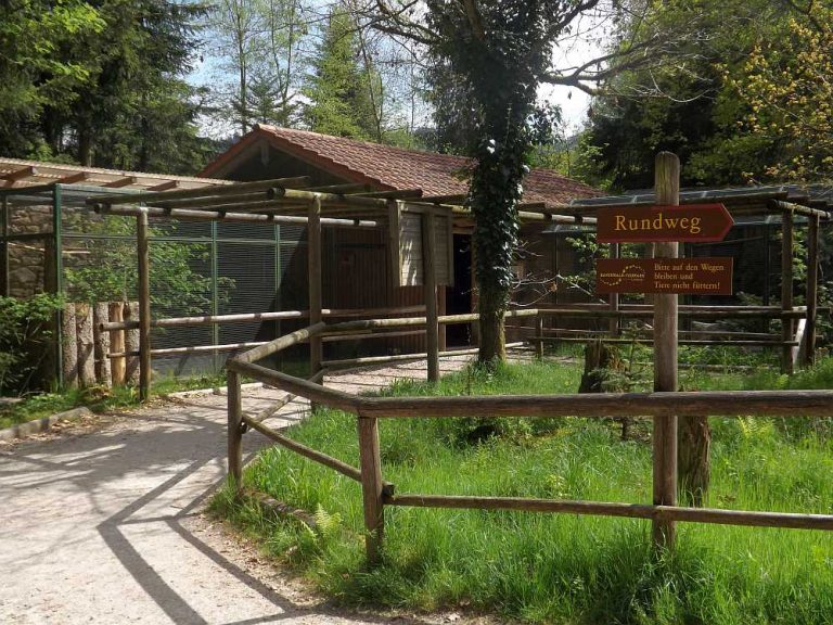 Steckbrief: Bayerwald -Tierpark Lohberg | Der Beutelwolf-Blog